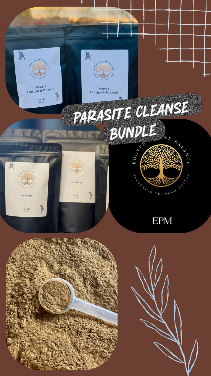 Parasite Cleanse Bundle – Rooted Equine Balance